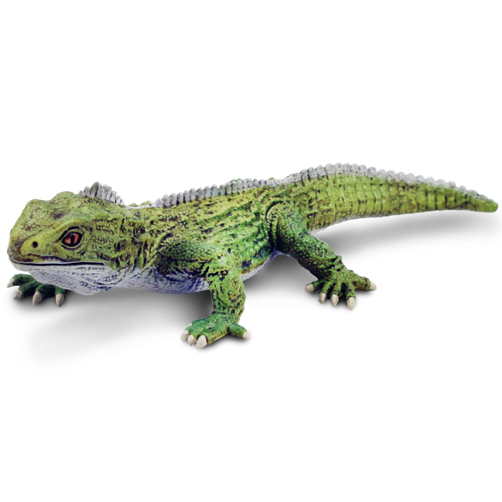 Safari Ltd. Tuatara Figurine - Realistic 7" Reptile Figure - Fun ...