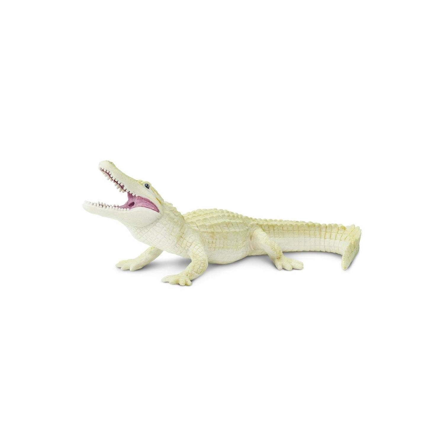 Safari Ltd. White Alligator Figurine - Realistic 6" Wildlife Figure ...