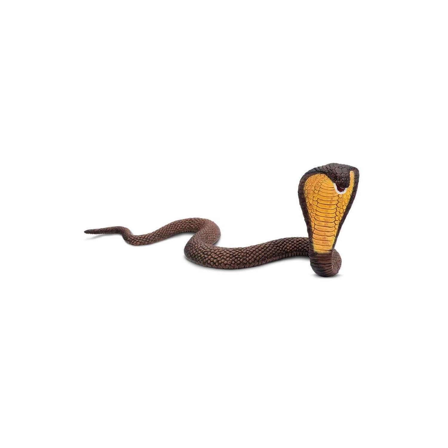 Safari Ltd. Cobra Figurine - Lifelike 6" Snake Figure - Educational Toy ...