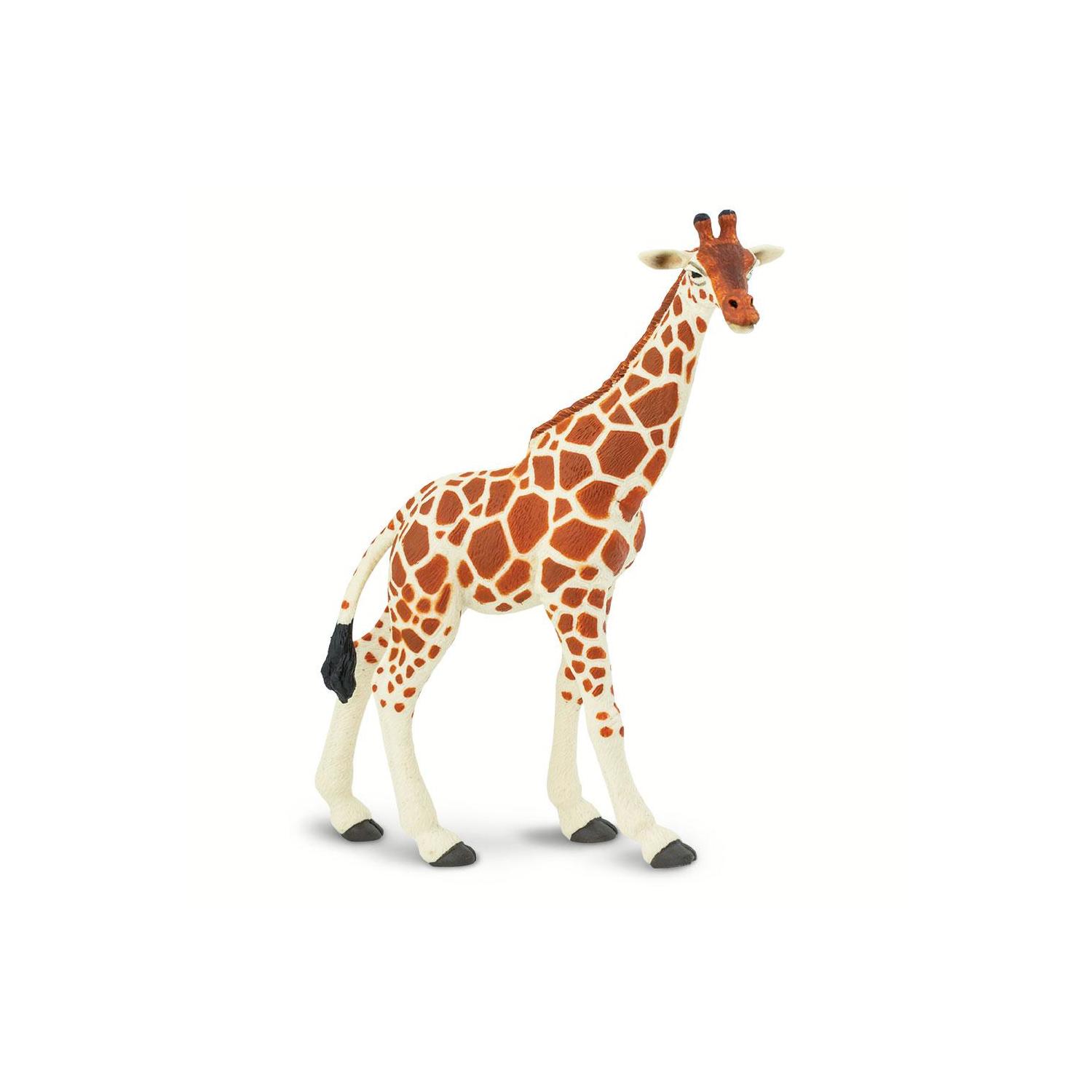 Safari Ltd. Reticulated Giraffe Figurine - Lifelike 7" Model Figure ...
