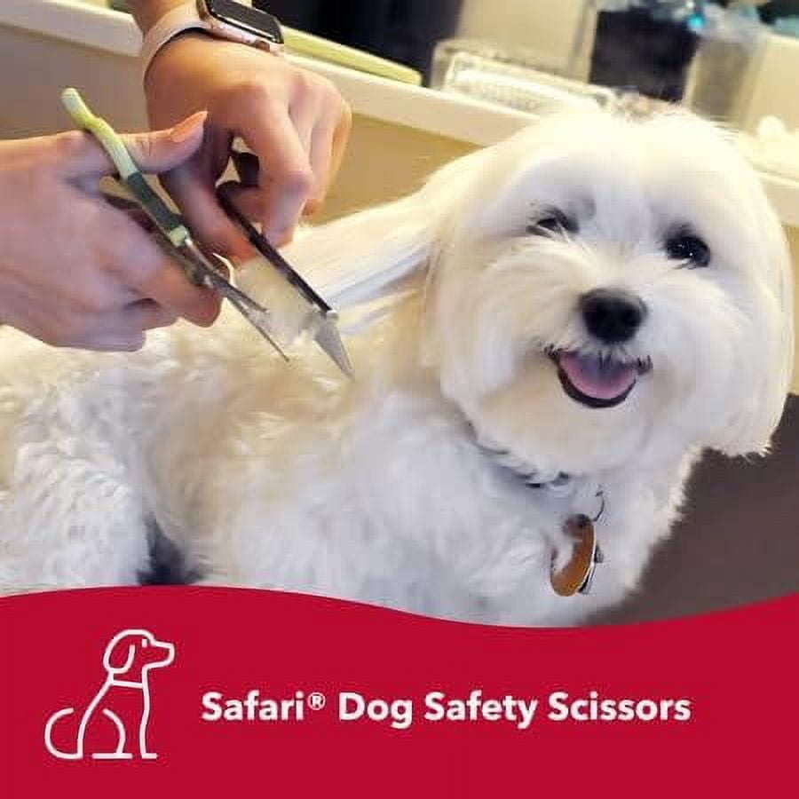 Safari Safety Scissors for Dogs Trimming Hair Around Eyes, Ears & Paws ...