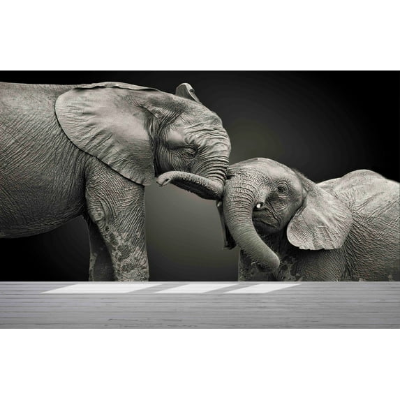 Safari Wall Mural, Wildlide Wall Decor, Gray Mural, Modern Wallpaper ...