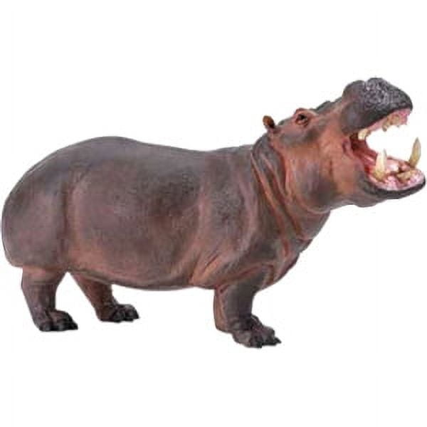 Safari Wildlife Wonders Hippopotamus - Walmart.com