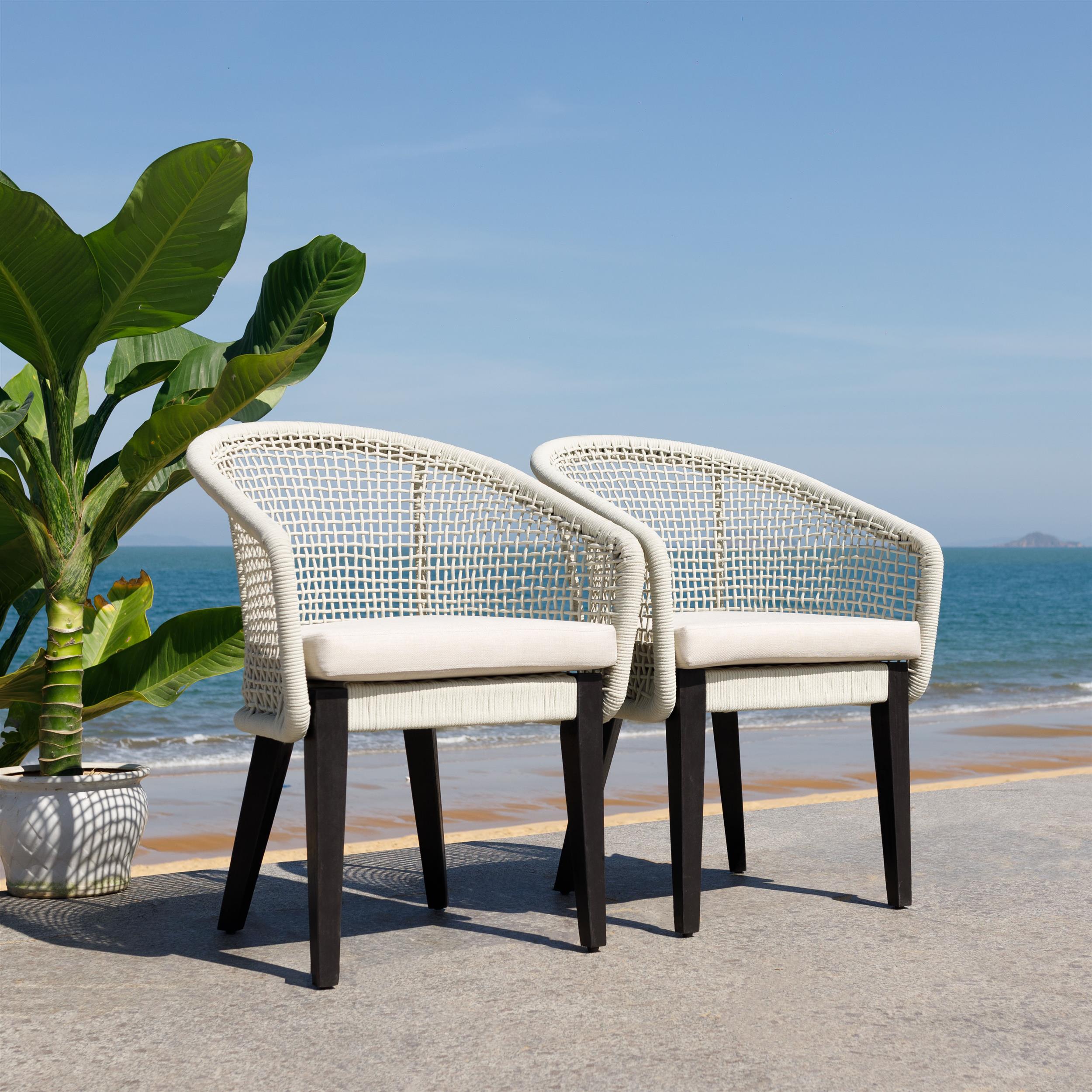 Safavieh Saxon Wood and Aluminum Rope Chair Set Of 2 in Light Gray ...