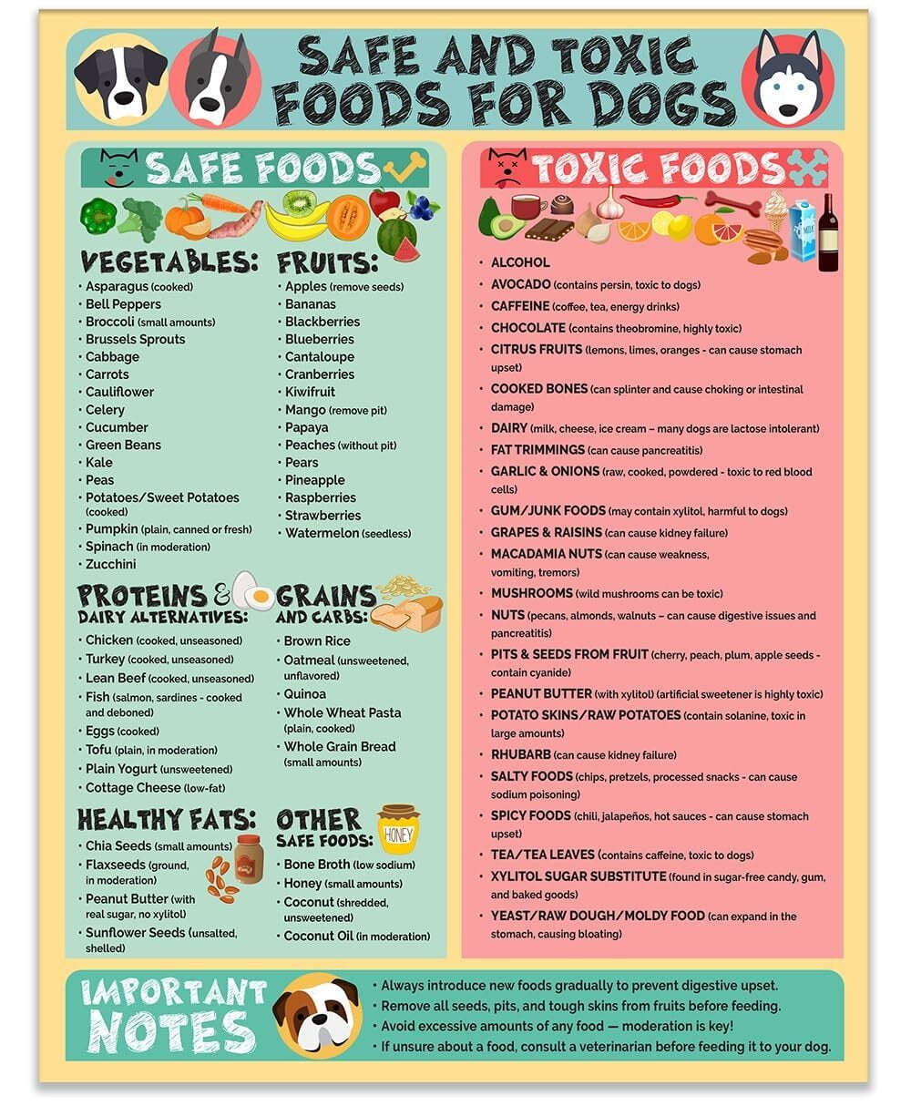 Safe And Toxic Foods For Dogs Poster Pet Safety Chart And Canine ...