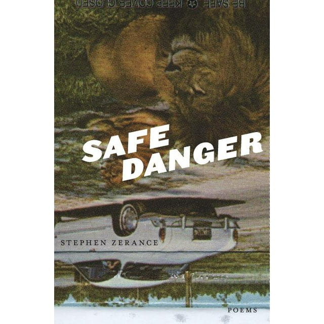 Safe Danger (Paperback) - Walmart.com
