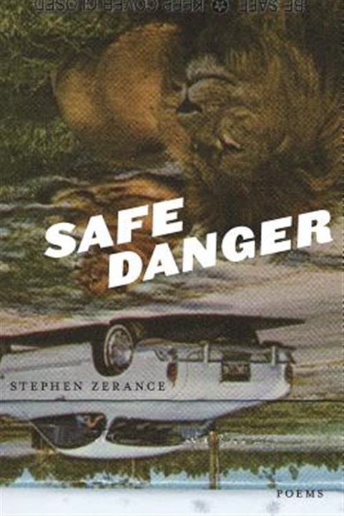 Safe Danger (Paperback) - Walmart.com