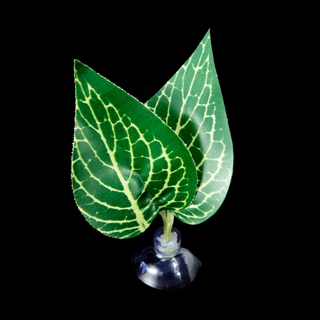 Safe Fish Bed Natural Environment Betta Fish Spawning Bed Aquariums ...