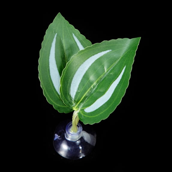 Safe Fish Bed Natural Environment Betta Fish Spawning Bed Aquariums ...