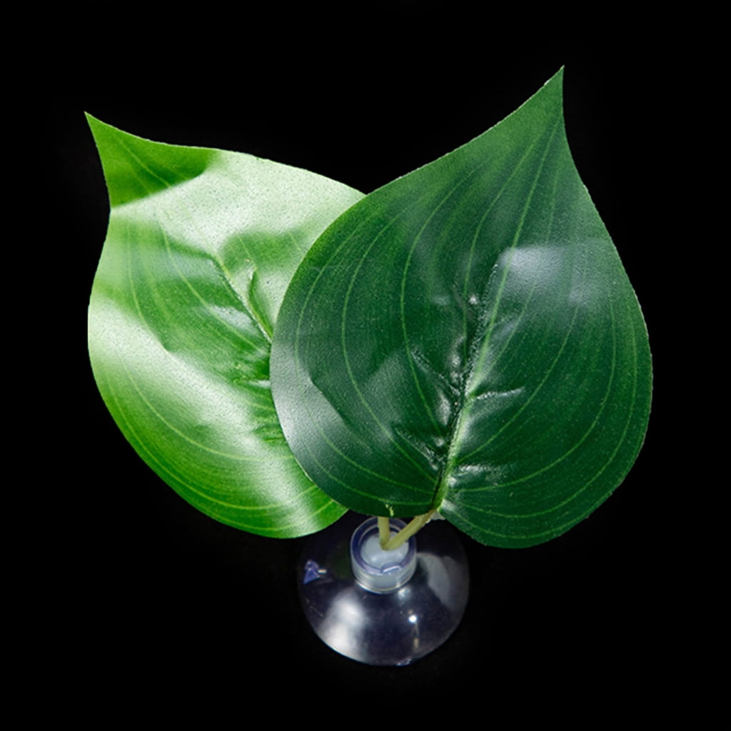 Safe Fish Bed Natural Environment Betta Fish Spawning Bed Aquariums ...