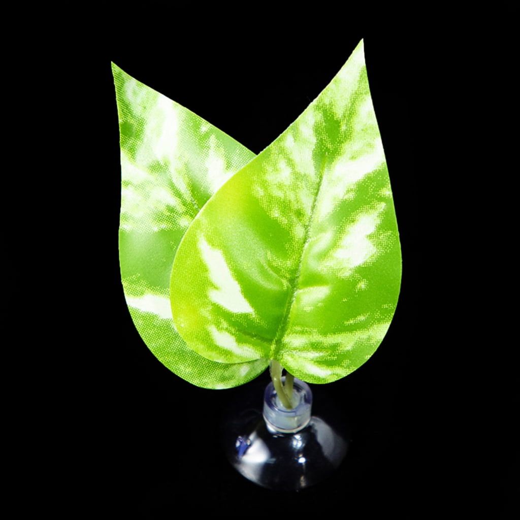 Safe Fish Bed Natural Environment Betta Fish Spawning Bed Aquariums ...