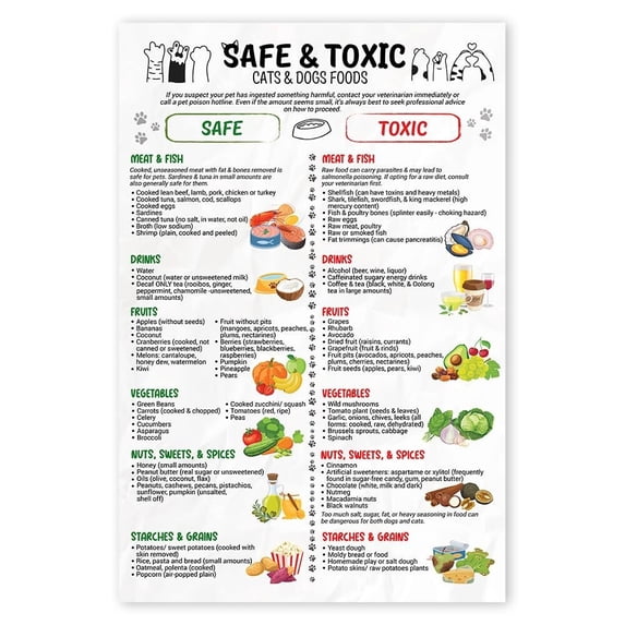 Safe and Toxic Foods for Dogs and Cats , Food Dog Cat Shouldn't Eat ...