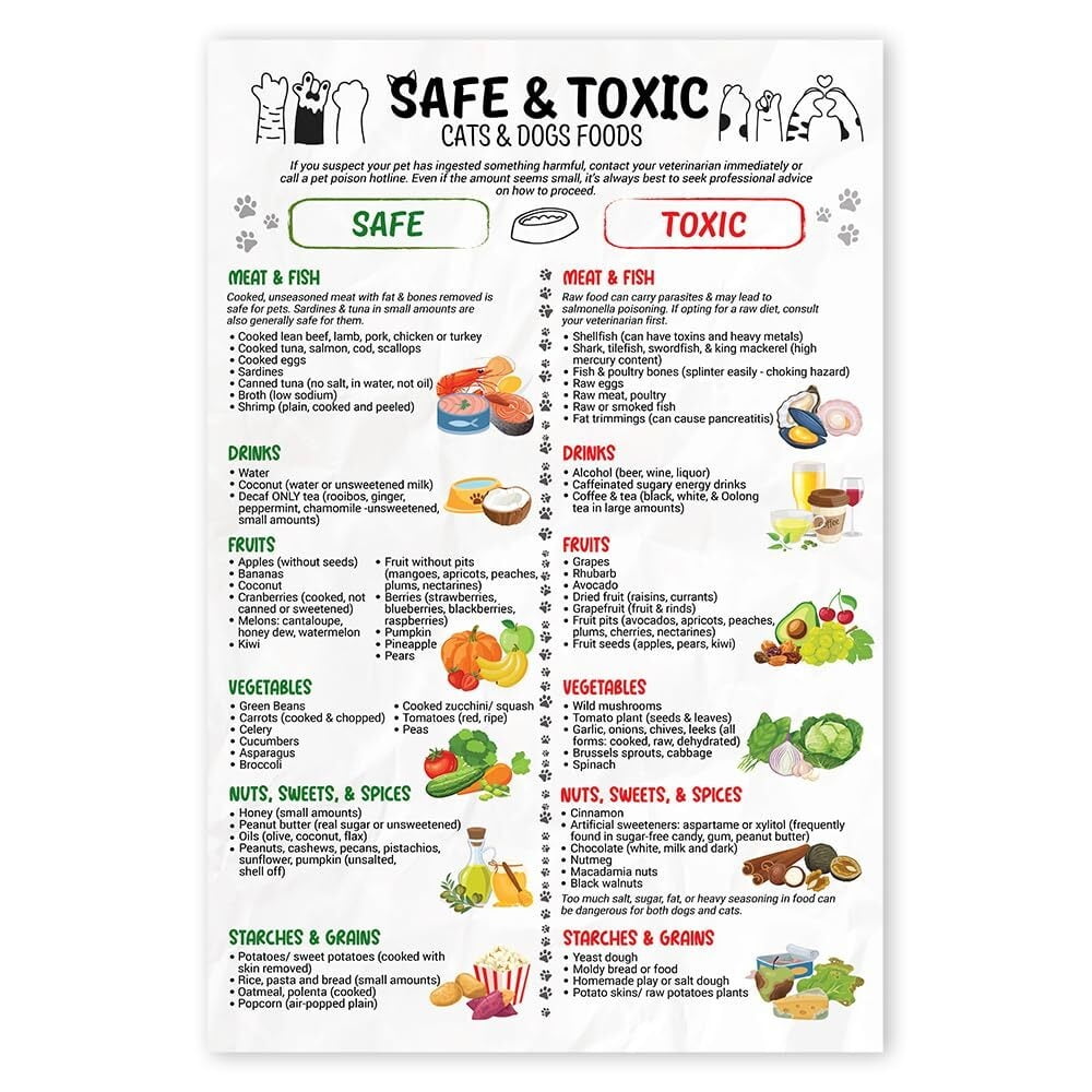Safe and Toxic Foods for Dogs and Cats Poster, Food Dog Cat Shouldn't ...