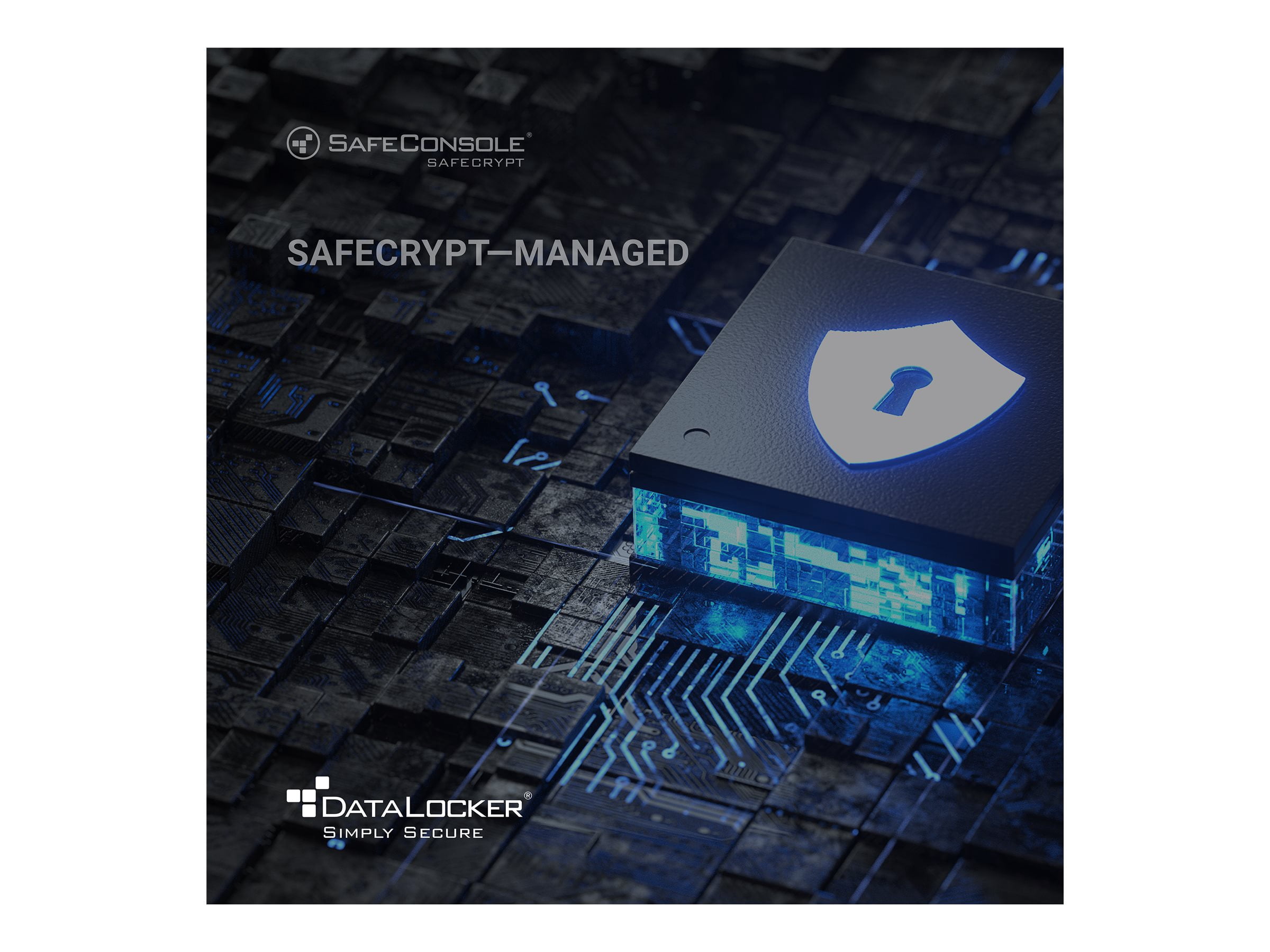 SafeCrypt Managed - Subscription license (1 year) - Win - Walmart.com