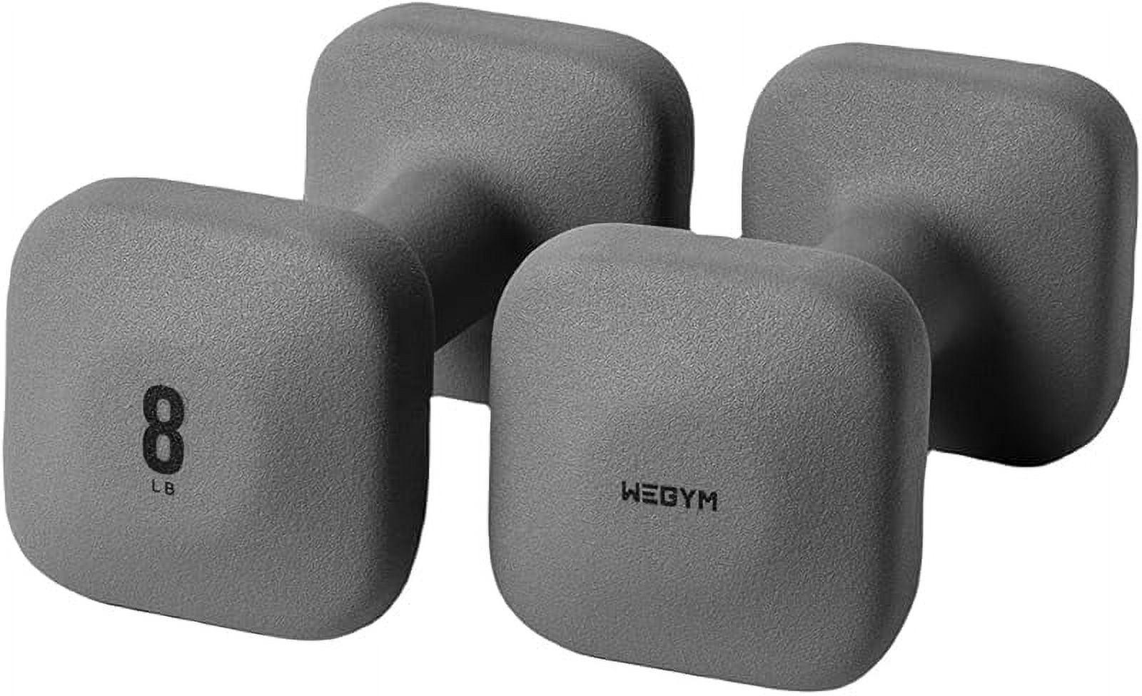 SafeGrip Dumbbells, Anti-Slip, Anti-Roll, Thick Handles, Free Weights ...