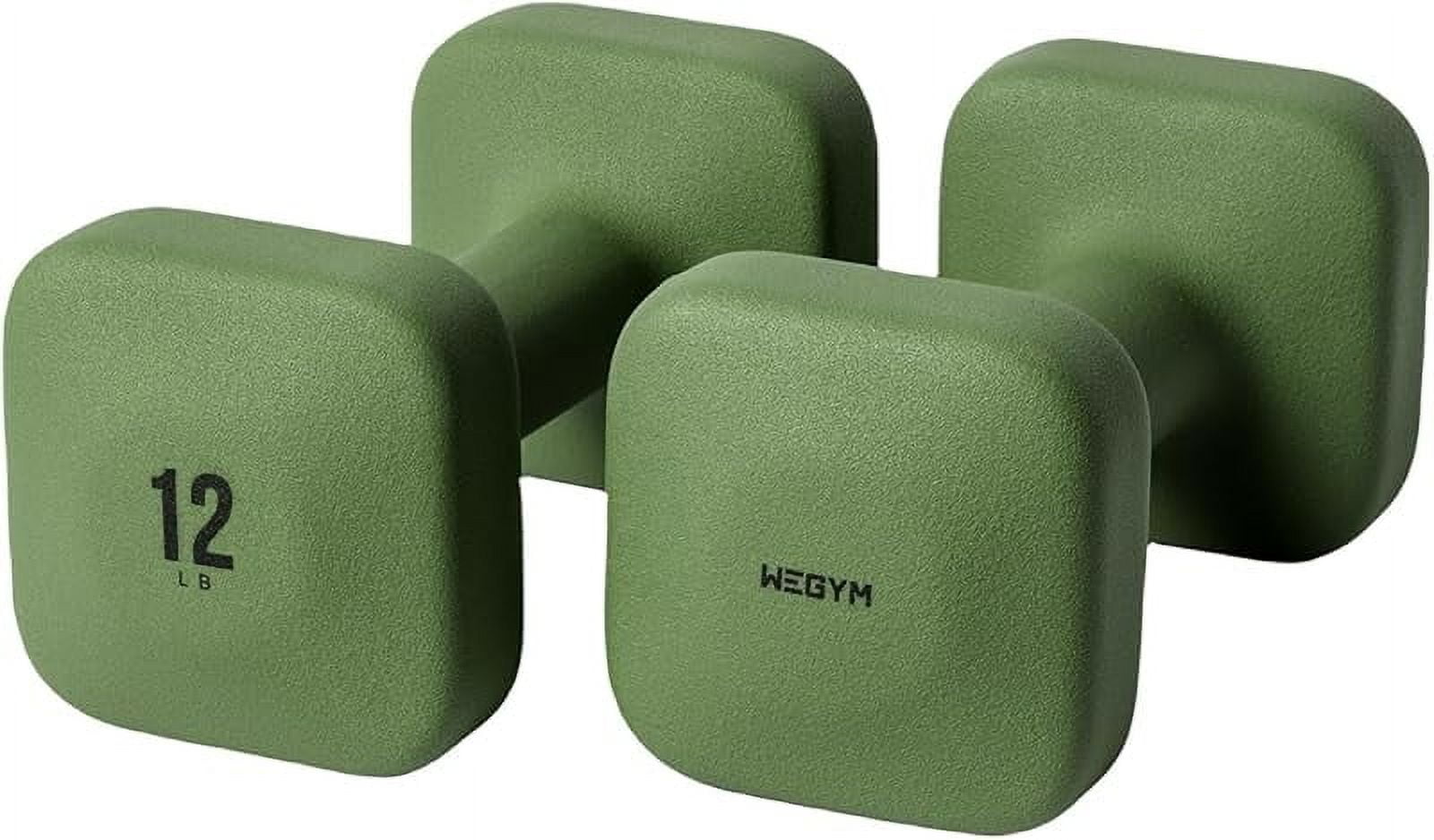 SafeGrip Dumbbells, Anti-Slip, Anti-Roll, Thick Handles, Free Weights ...