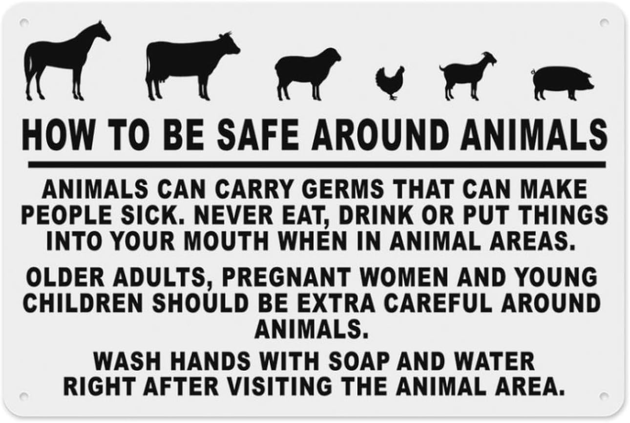 Safety Instruction Sign Providing Guidance on How to Be Safe Around ...