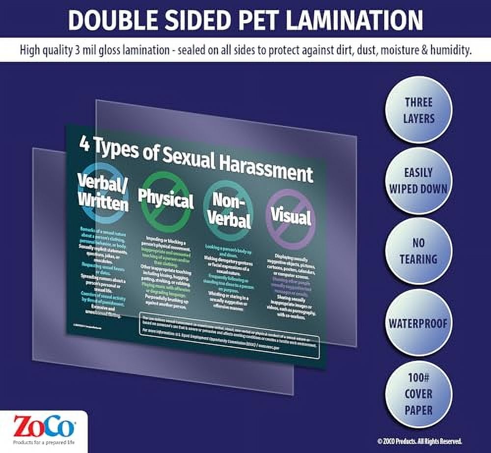 Safety Magnets 4 Types of Sexual Harassment Office Poster - Anti ...