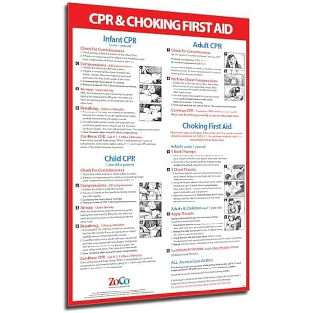 Safety Magnets CPR and Choking Posters for Infant, Child, Adult ...