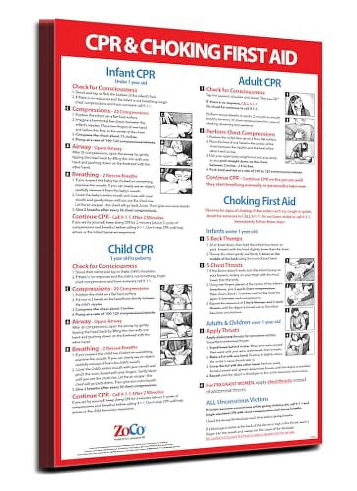 Safety Magnets CPR and Choking Posters for Infant, Child, Adult ...