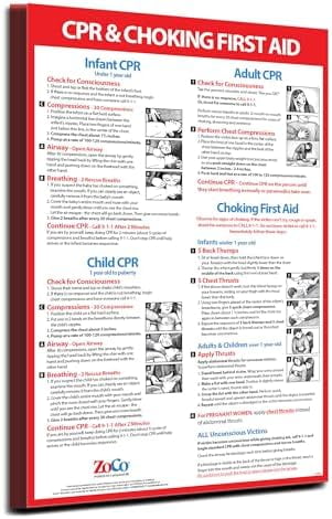 Safety Magnets CPR and Choking Posters for Infant, Child, Adult ...