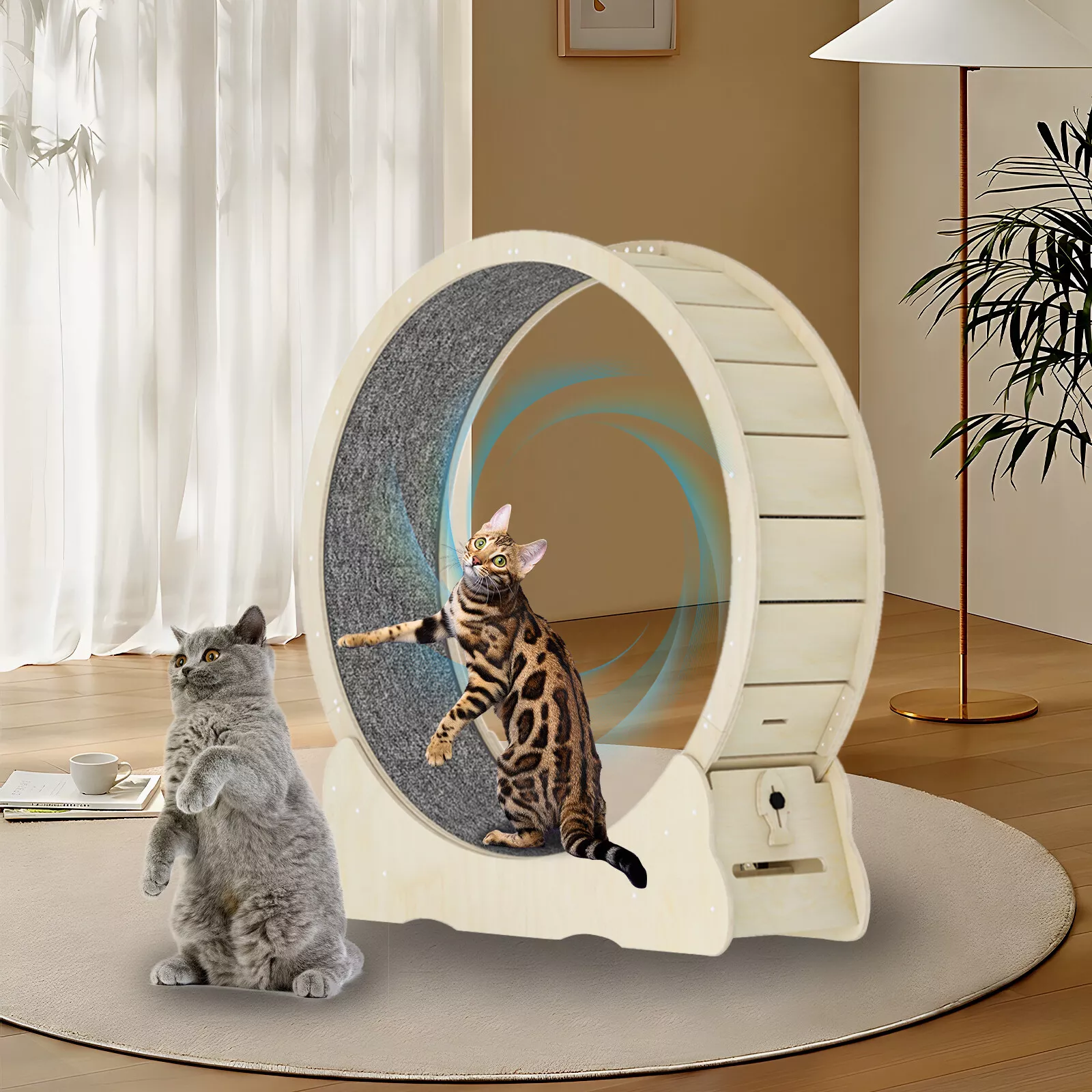 Safety Treadmill Running Toy with Lock Cat Wheel Exercise Wheel for ...