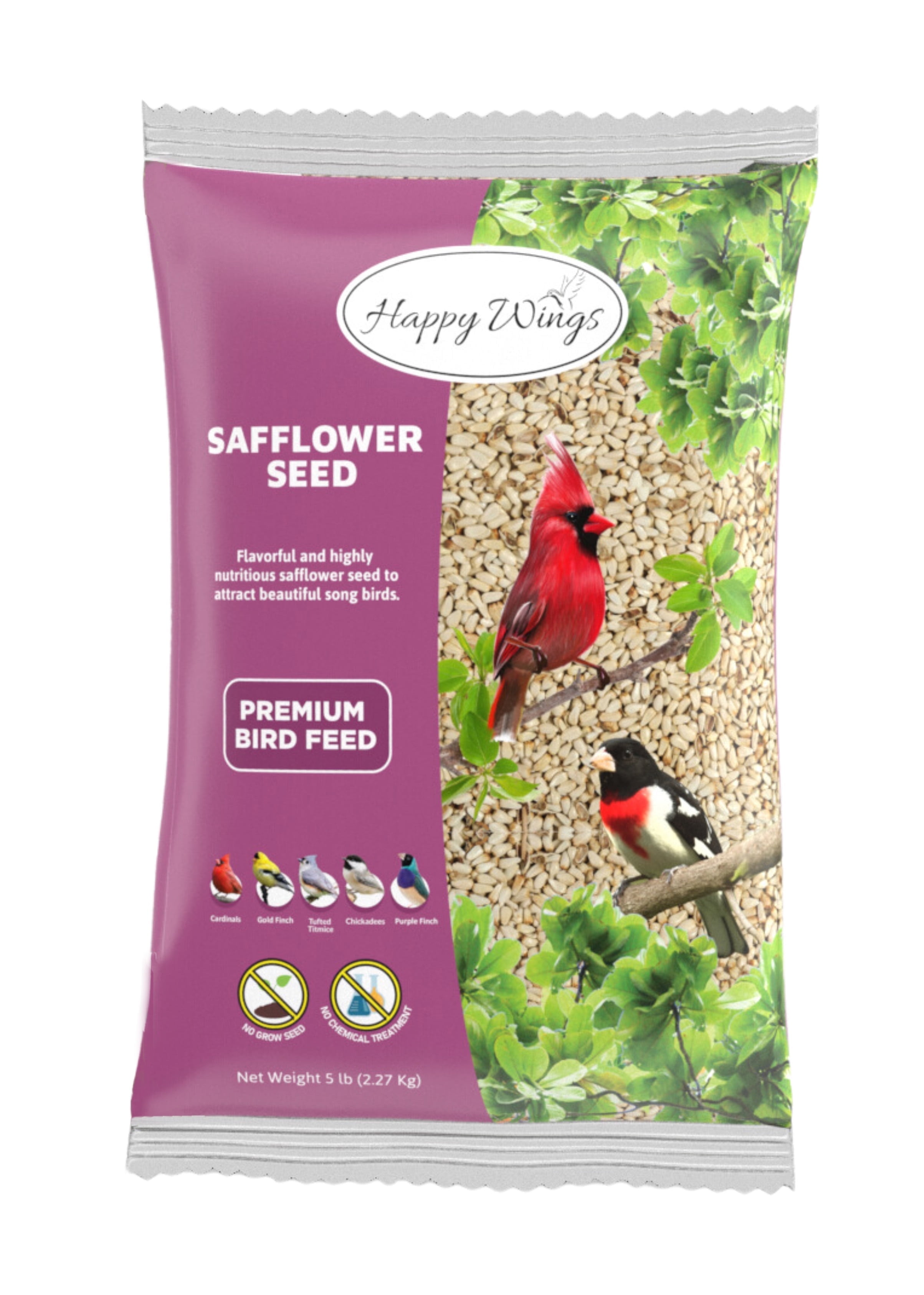 Safflower Seeds Wild Bird Food - 5 Pounds I No Grow Seed I Bird seed ...