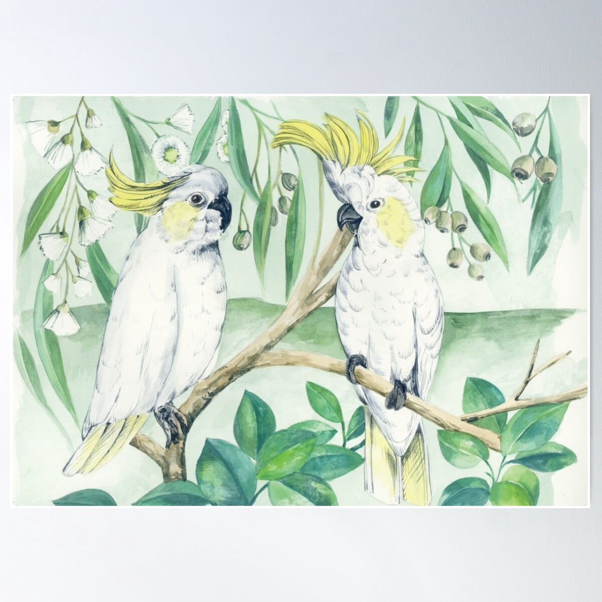 Saffron Cockatoos Poster Wall Art, Modern Wall Decor For Living Room ...