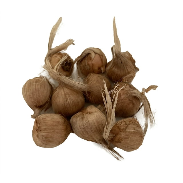 Saffron Crocus + Bulb Food - 10 Sativus Bulbs - Perennial Flower for ...
