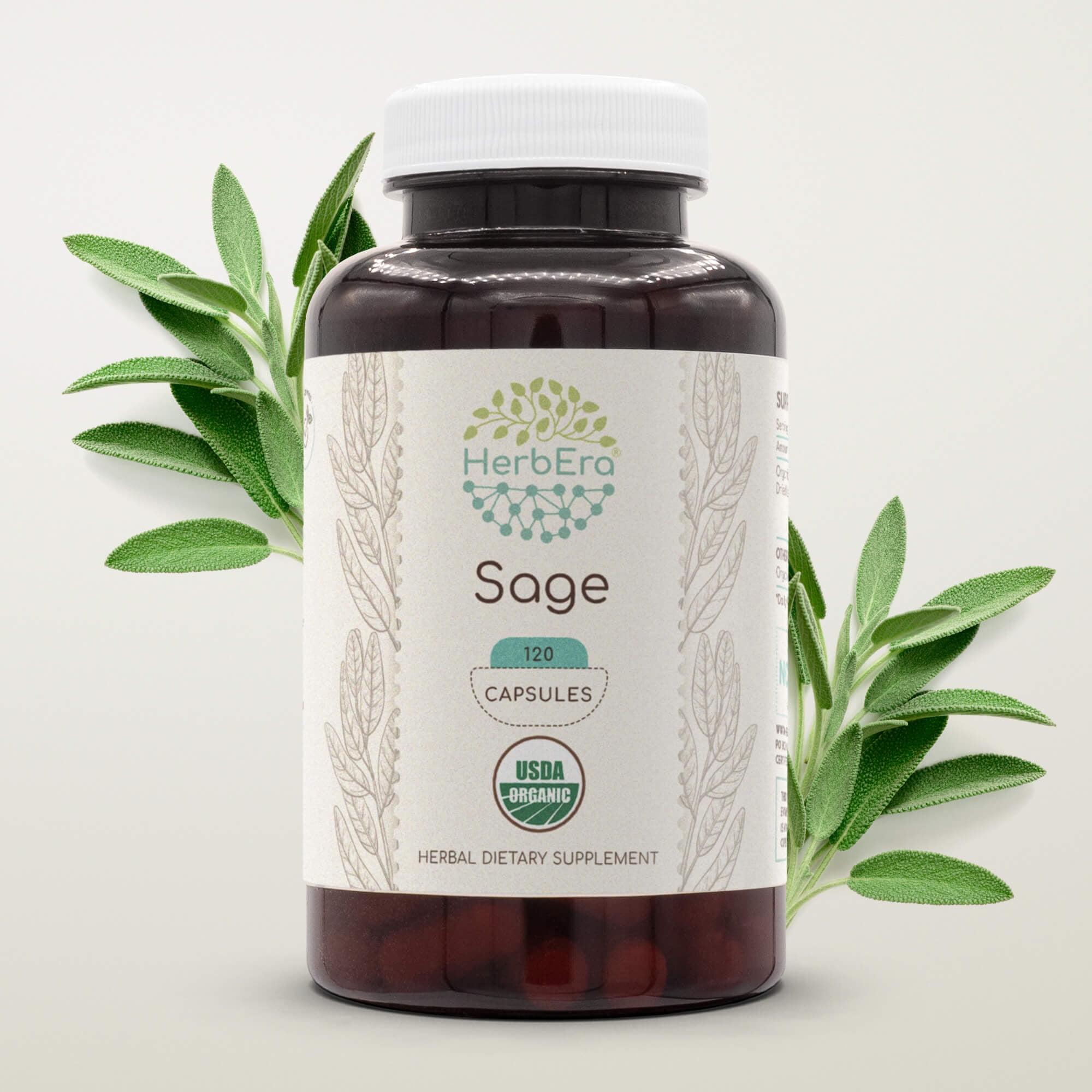 Sage 120 Capsules, 500 mg, Organic Sage (Salvia officinalis) Dried Leaf ...