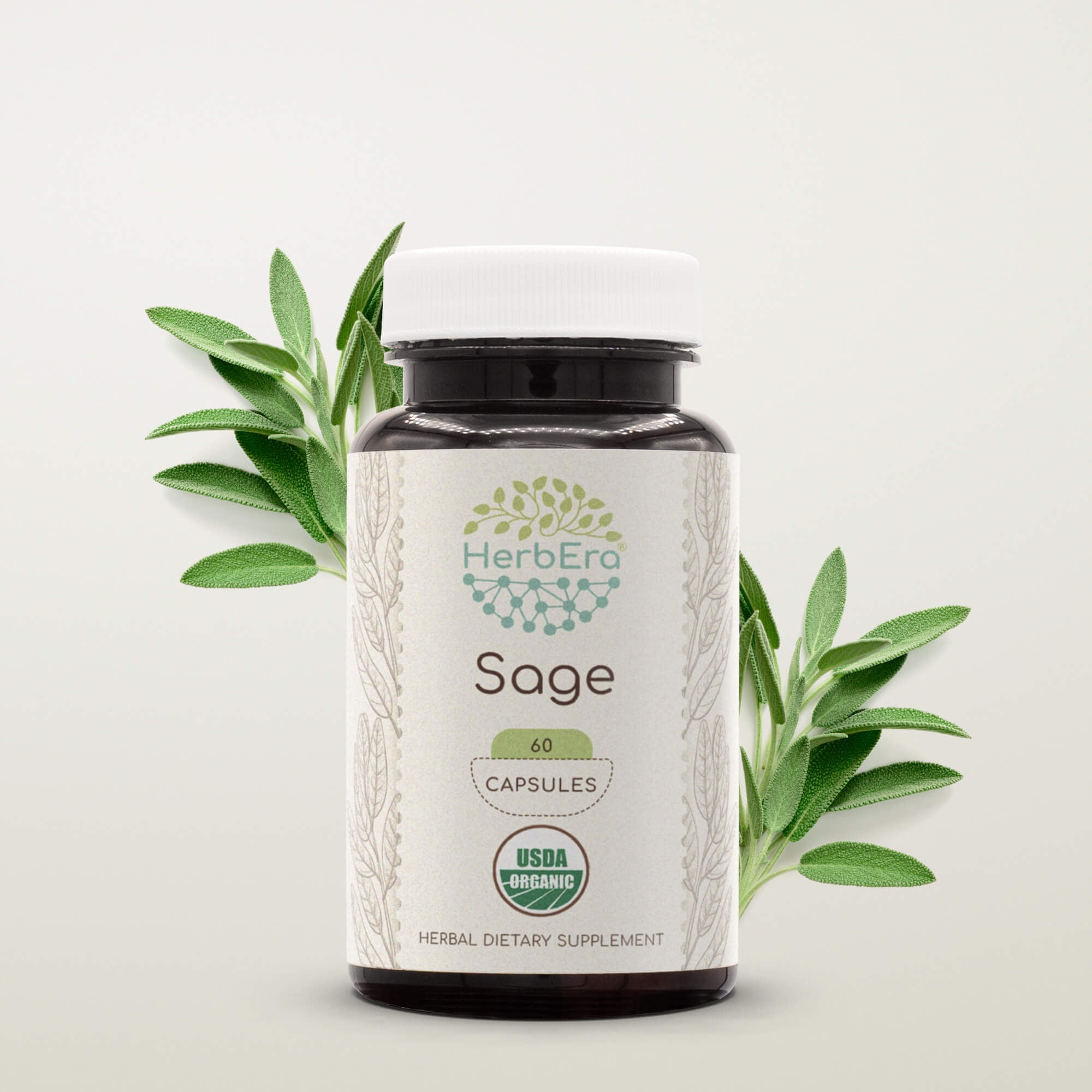 Sage 60 Capsules, 500 mg, Organic Sage (Salvia officinalis) Dried Leaf ...