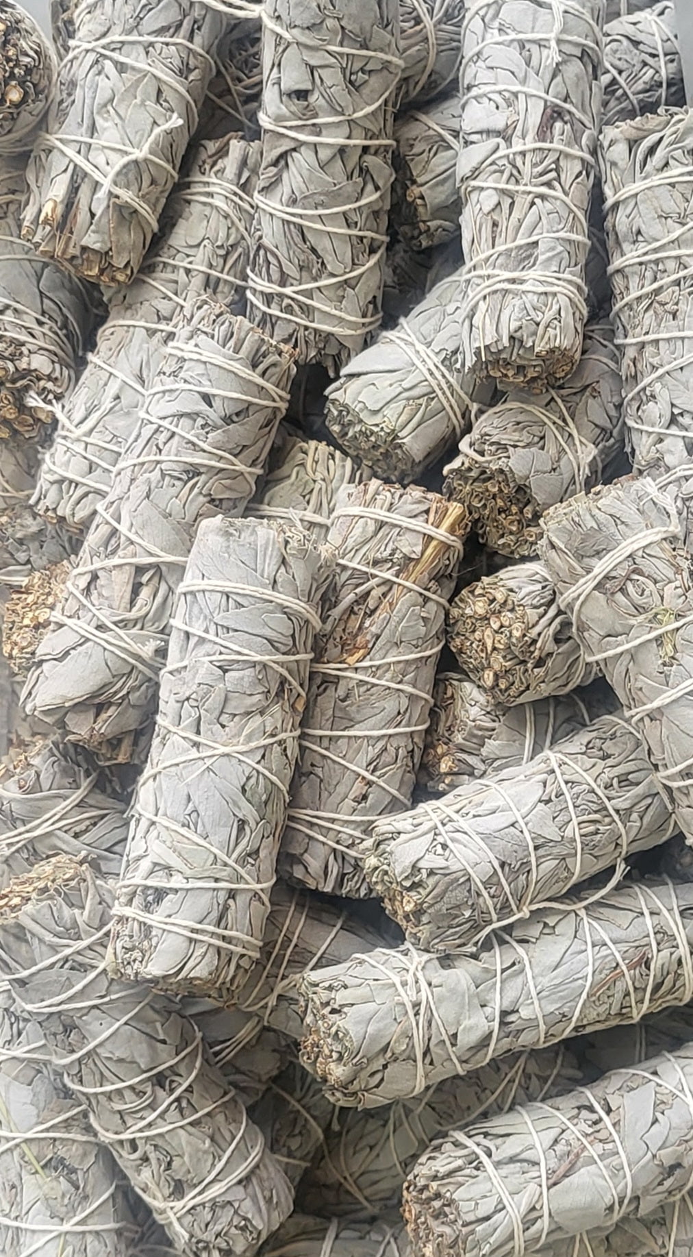 Sage (Bundle of 6) Premium Smudge Collection Sage Bundle - Walmart.com
