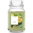 Sage & Citrus Scented Candle, 22oz Large Jar with up to 150 Hour Burn ...