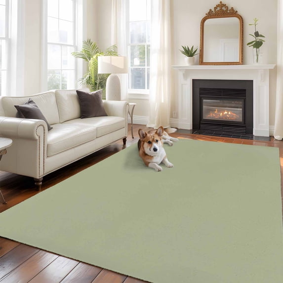 Sage Green Area Rugs 5x7 ft Solid Color Washable Rug Non Slip Indoor ...