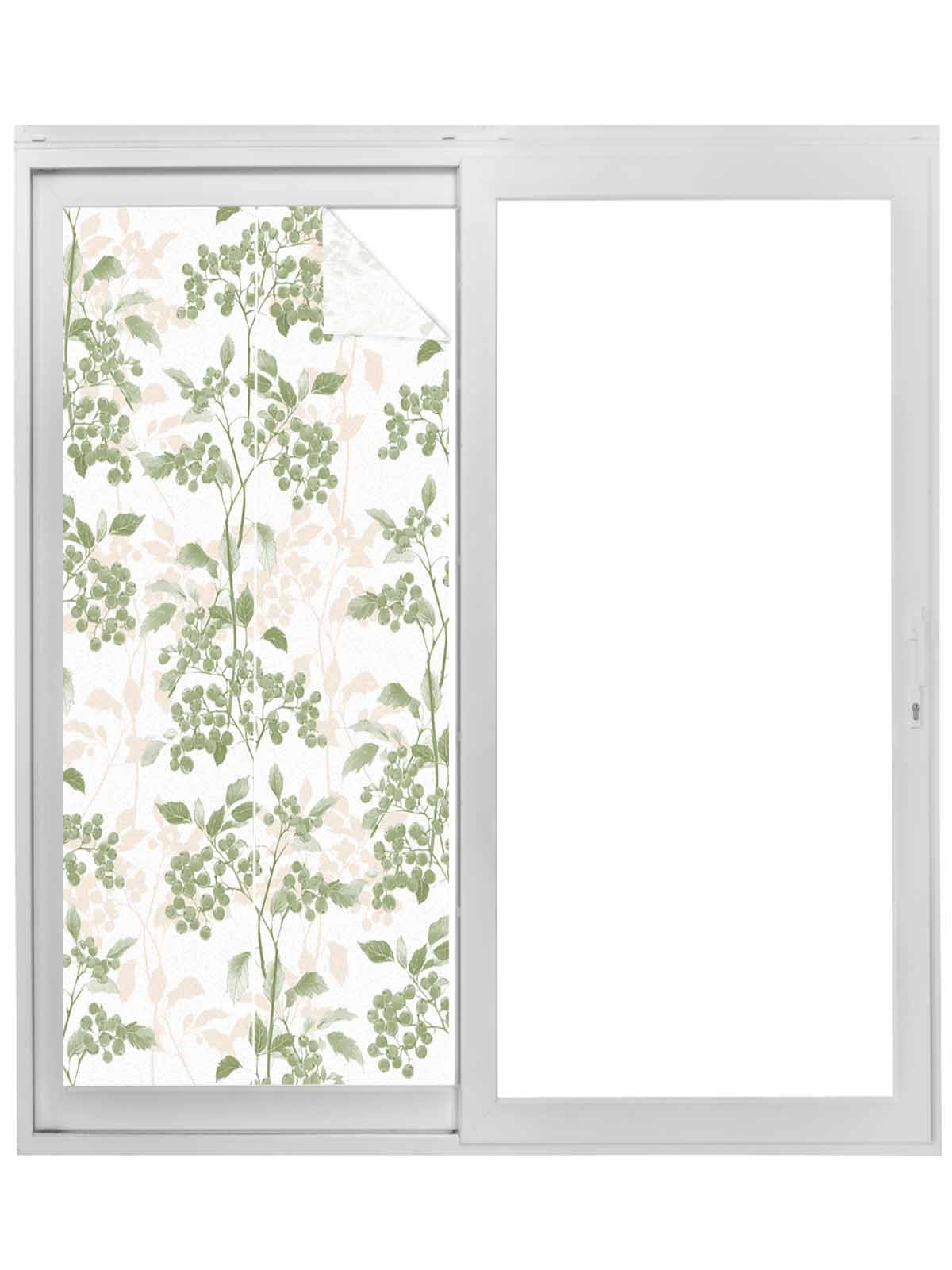 Sage Green Fruit Window Privacy Film, Vintage Plant Nature Botanical ...