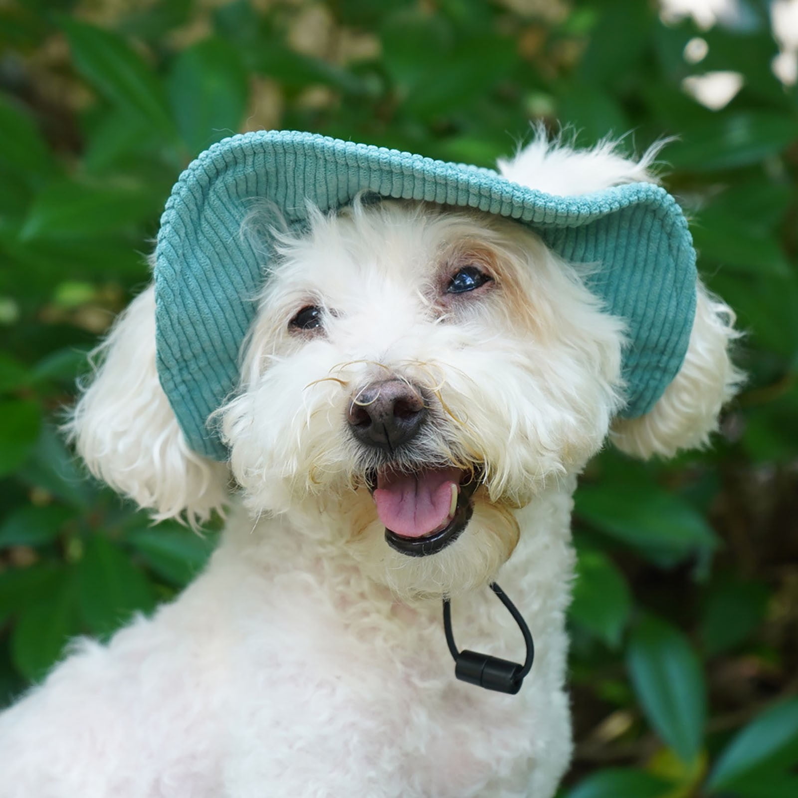 Sage Green XS Pet Bucket Hat Corduroy Fabric, Adjustable Sun Cap with ...