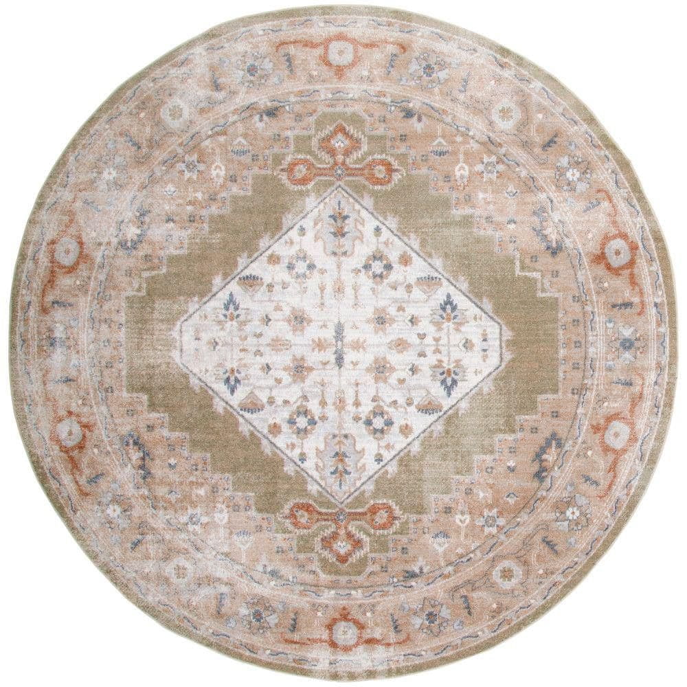Sage Multicolor 8 ft. x 8 ft. Distressed Traditional Round Astra ...