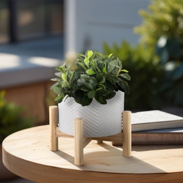 Olly & Rose Milan Plant Pot Set - Hobnail Black Ceramic Dots Indoor Set ...