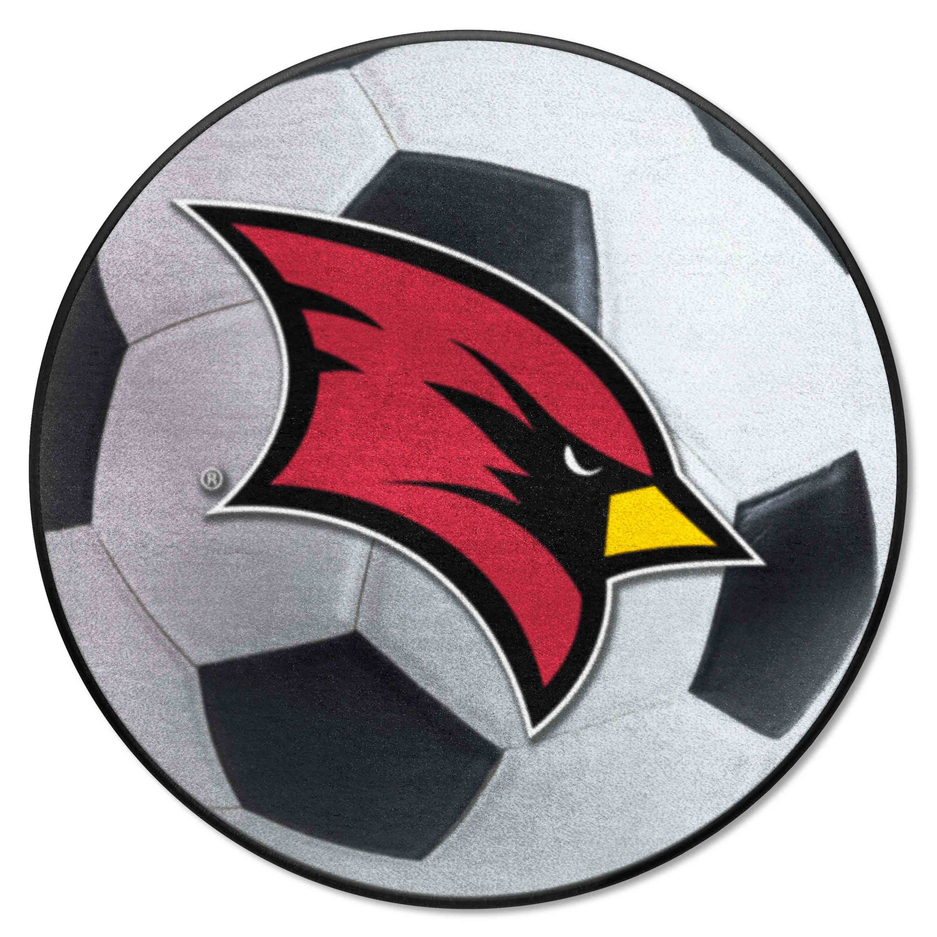 Saginaw Valley State Soccer Ball 27" diameter - Walmart.com