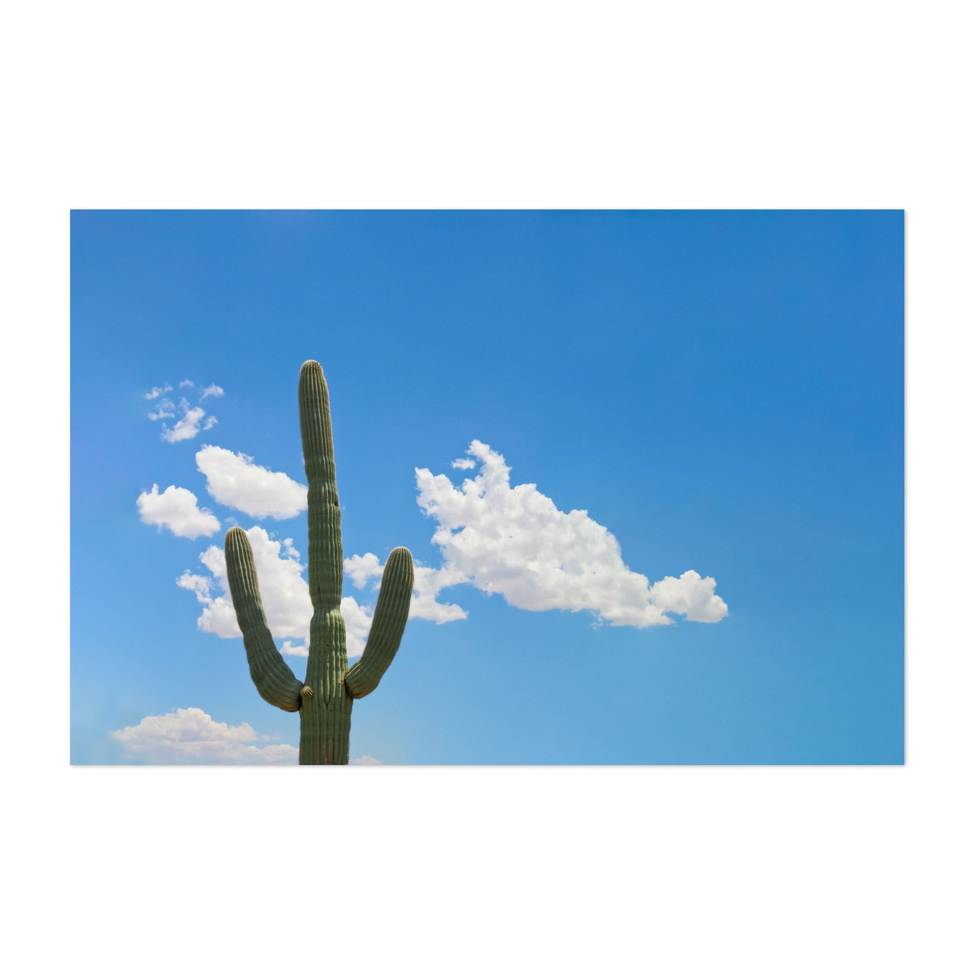 Saguaro Cactus with Blue Sky and Clouds in Arizona - Tucson Arizona ...