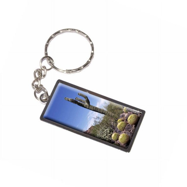 Saguaro Cactus National Park Arizona Keychain Key Chain Ring - Walmart.com