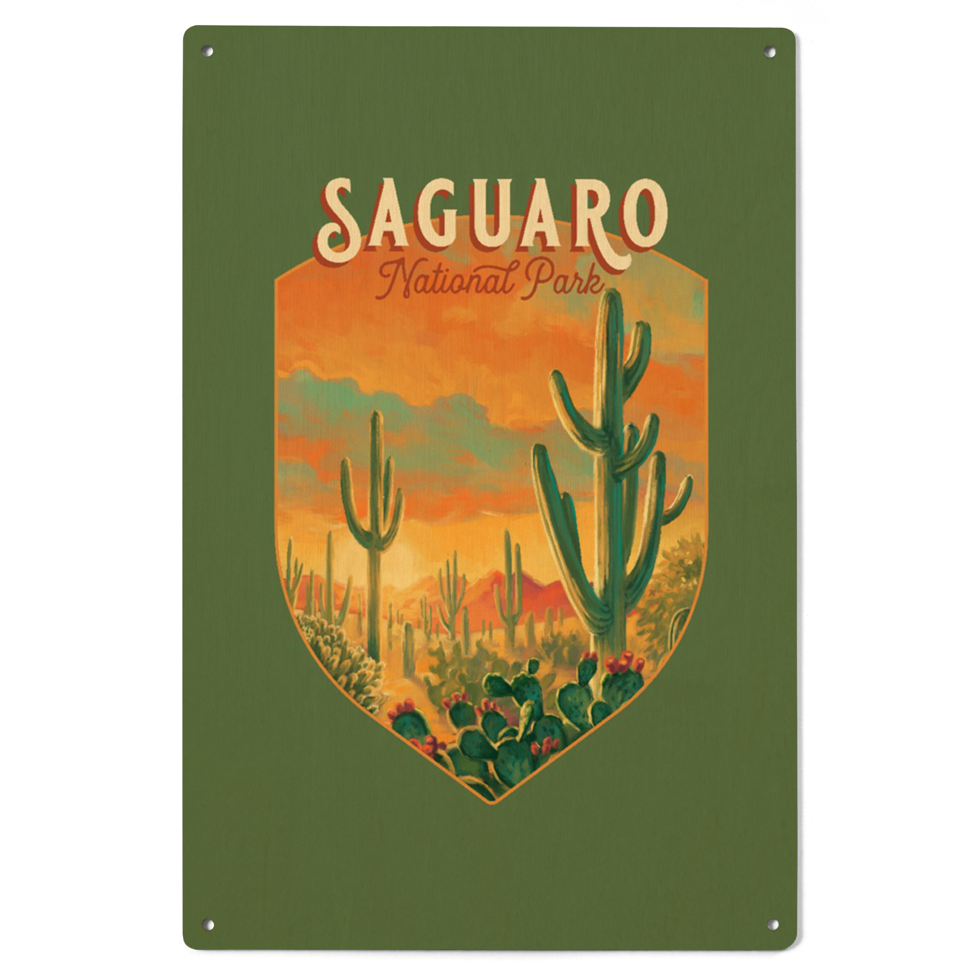 Saguaro National Park, Arizona, Contour, Oil Painting National Park ...