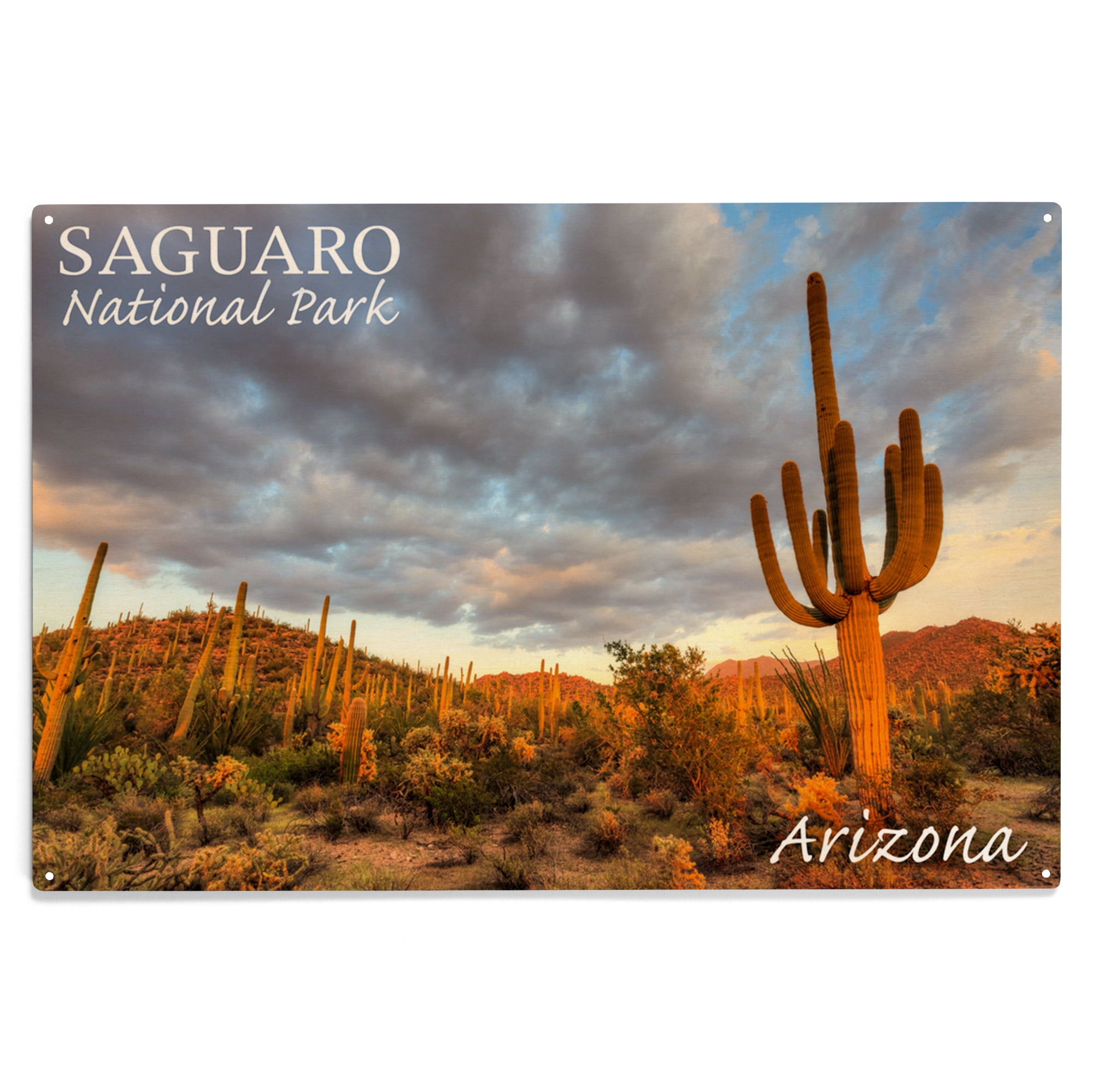 Saguaro National Park, Arizona, Day Scene Birch Wood Wall Sign (10x15 ...