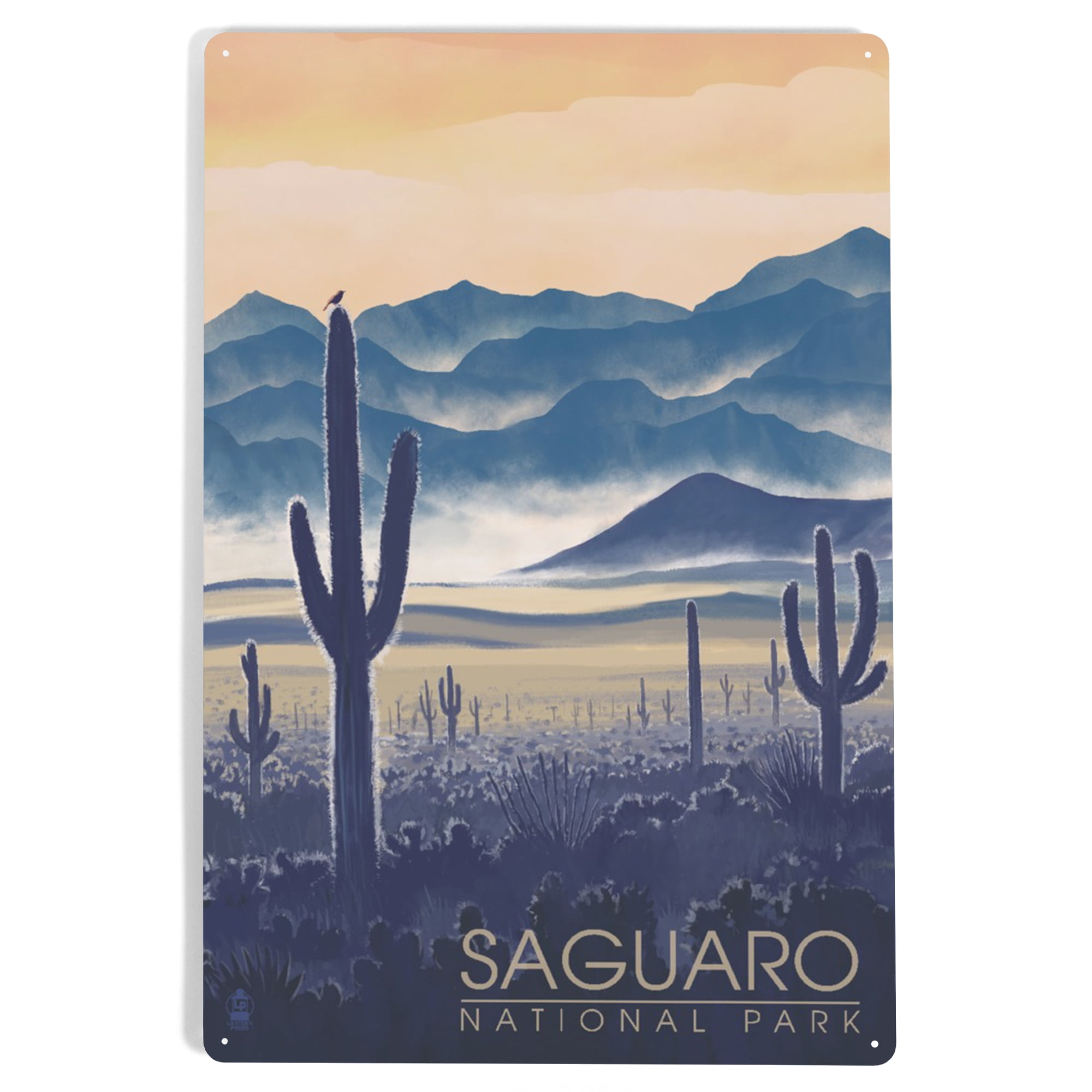 Saguaro National Park, Arizona, Desert Landscape (12x18 Aluminum Art ...