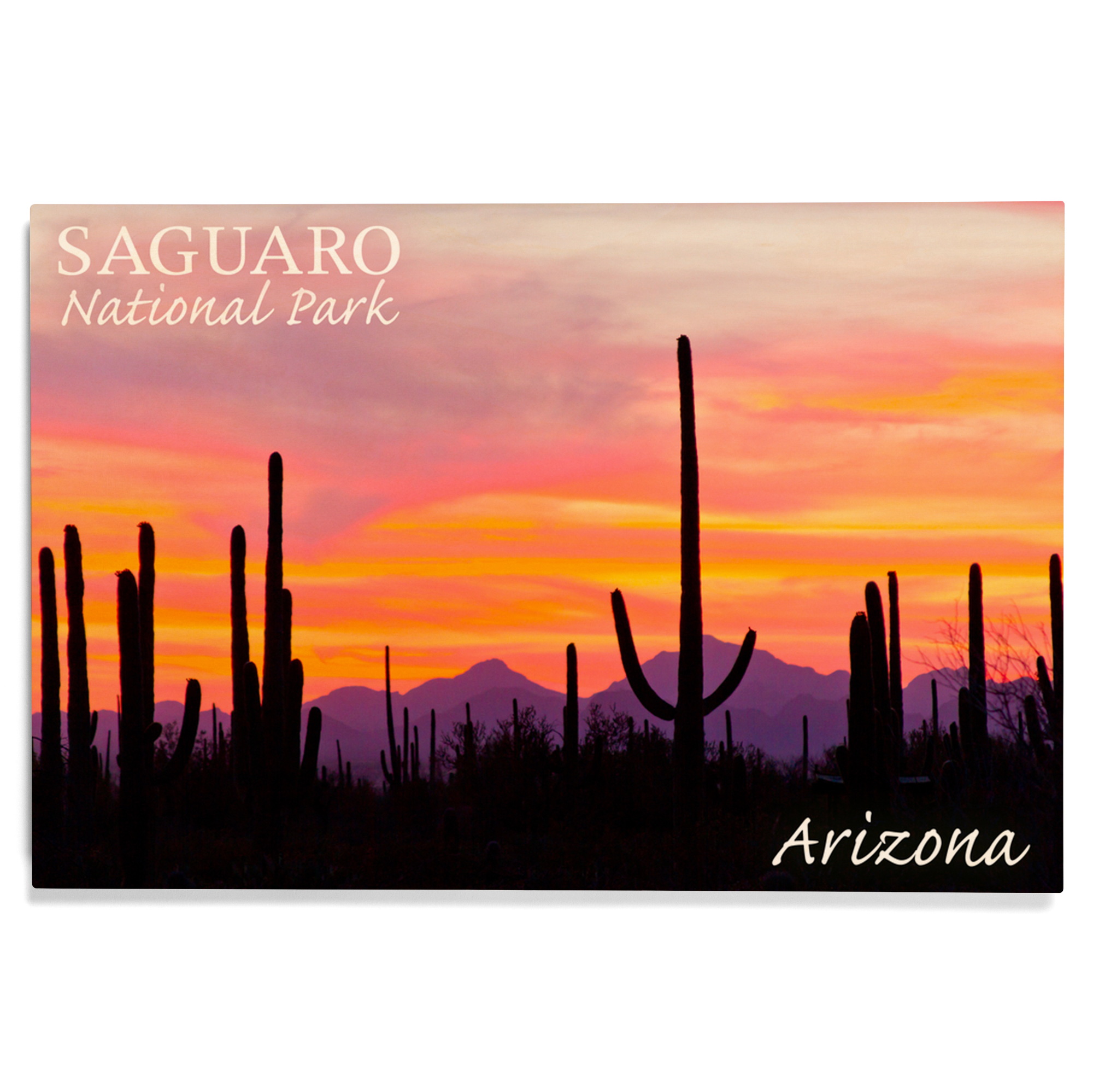 Saguaro National Park, Arizona, Orange and Pink Sunset Birch Wood Wall ...