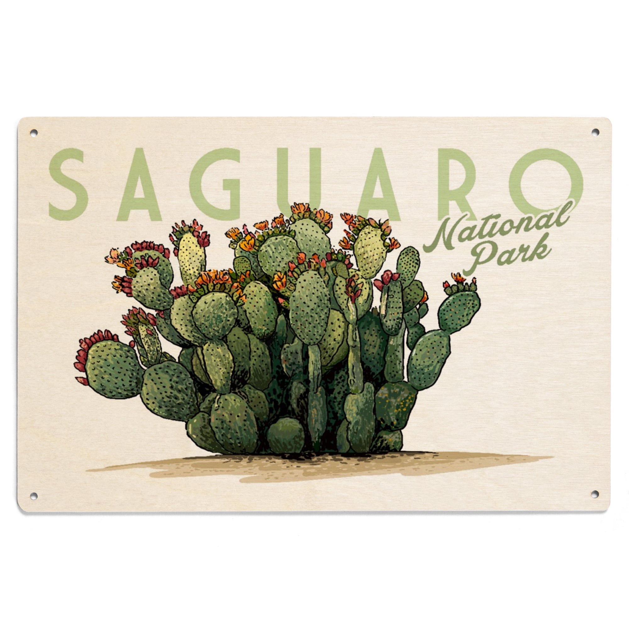 Saguaro National Park, Arizona, Prickly Pear Cactus Birch Wood Wall ...