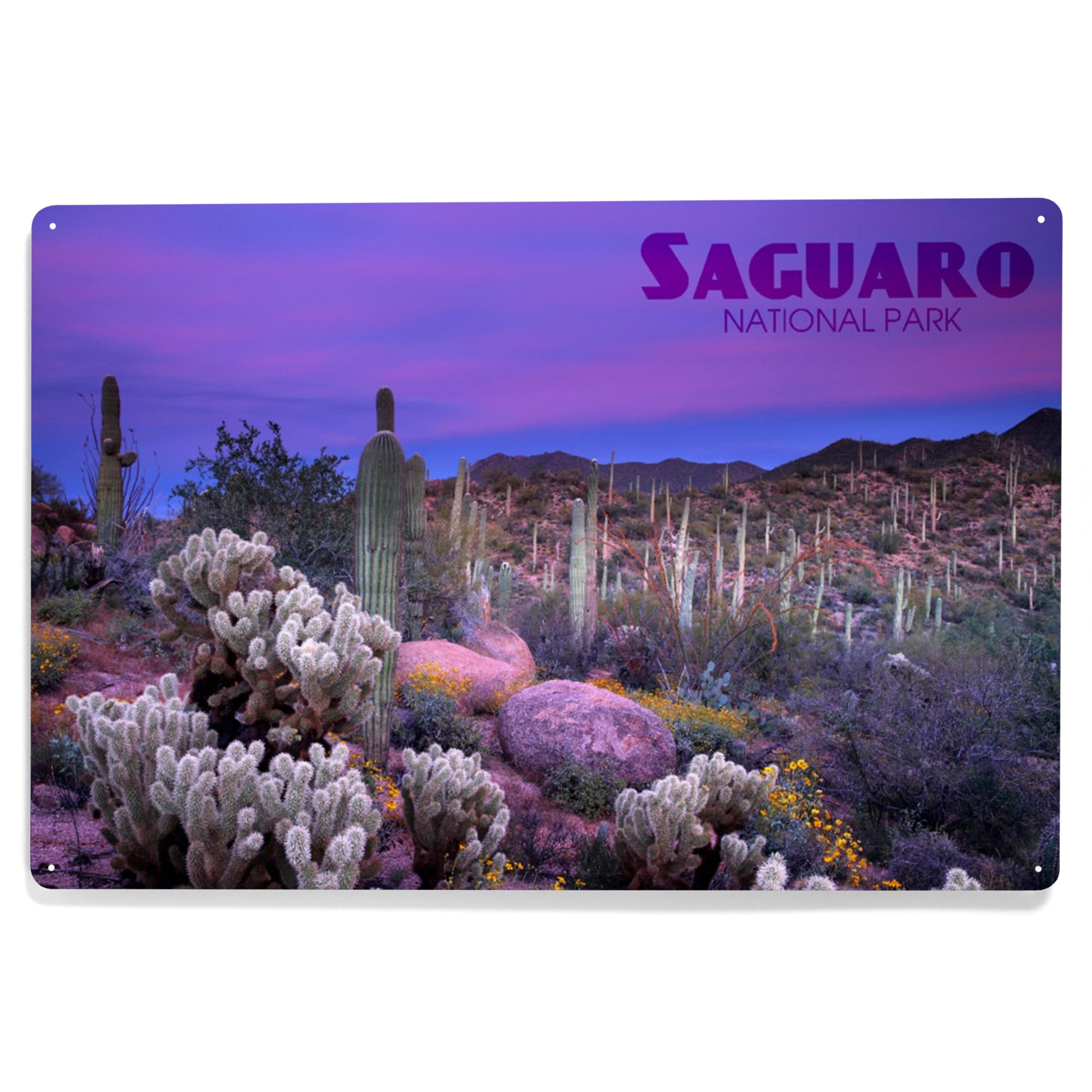 Saguaro National Park, Arizona, Purple Dusk (12x18 Aluminum Art, Indoor ...