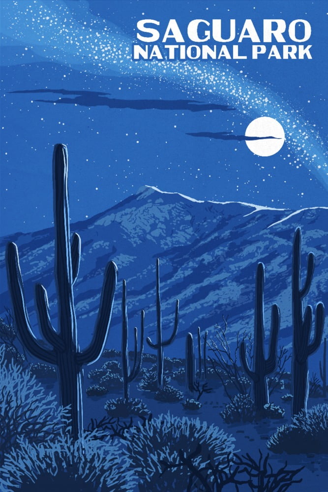 Saguaro National Park, Arizona, Rincon Peak, Night Sky (12x18 Wall Art ...