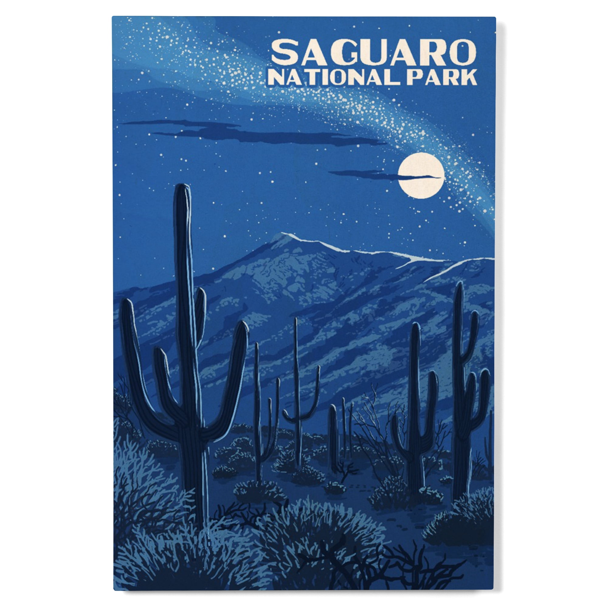 Saguaro National Park, Arizona, Rincon Peak, Night Sky Birch Wood Wall ...