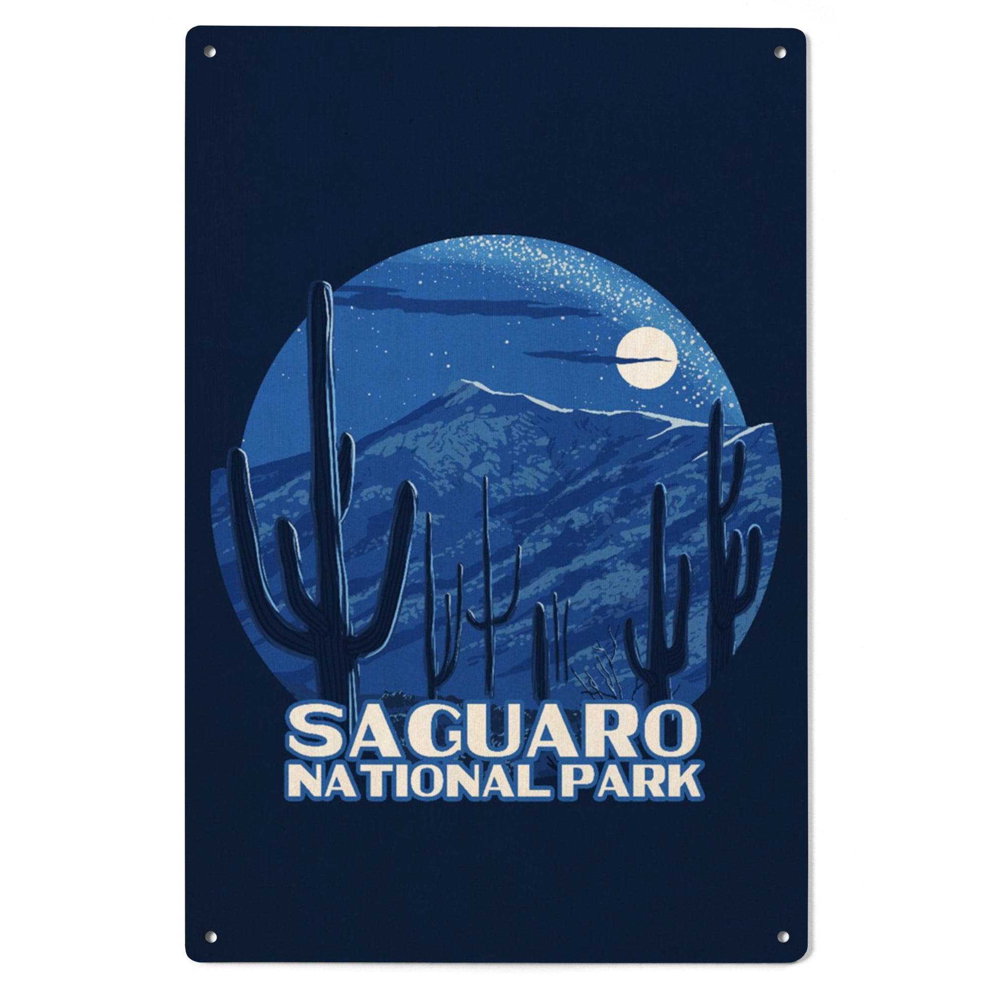 Saguaro National Park, Arizona, Rincon Peak, Night Sky, Contour Birch ...